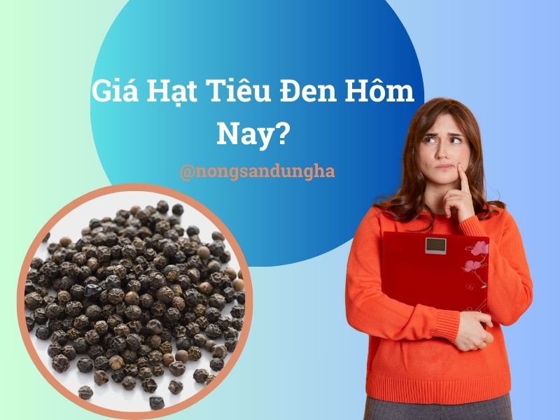 Giá hạt tiêu đen hôm nay bao nhiêu 1kg? Cập nhật mới nhất