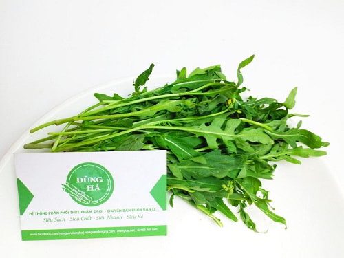 Mua rau rocket - Địa chỉ bán rau rocket tươi ngon uy tín tại Hà Nội