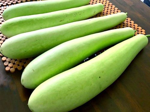 Phân biệt quả bầu và quả bí: Đặc điểm, công dụng và cách dùng